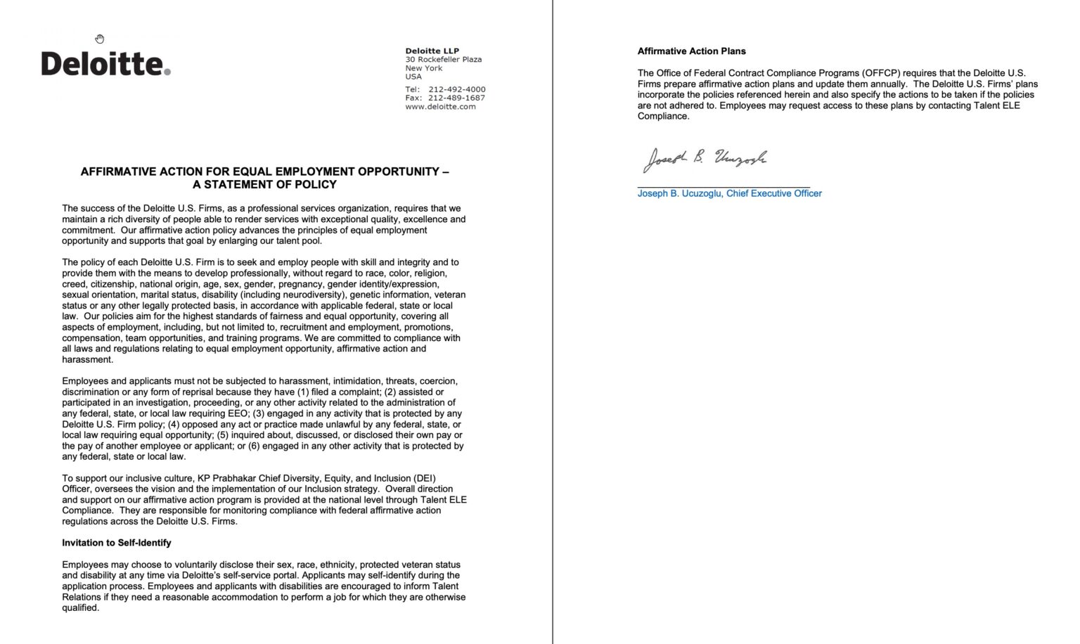 Creating an Effective EEO Statement: 16 Helpful Samples