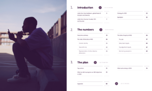 10 Examples of an Awesome Diversity Report | Ongig Blog