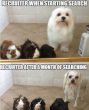 35+ Best Funny Recruiter Memes for 2024 | Ongig Blog