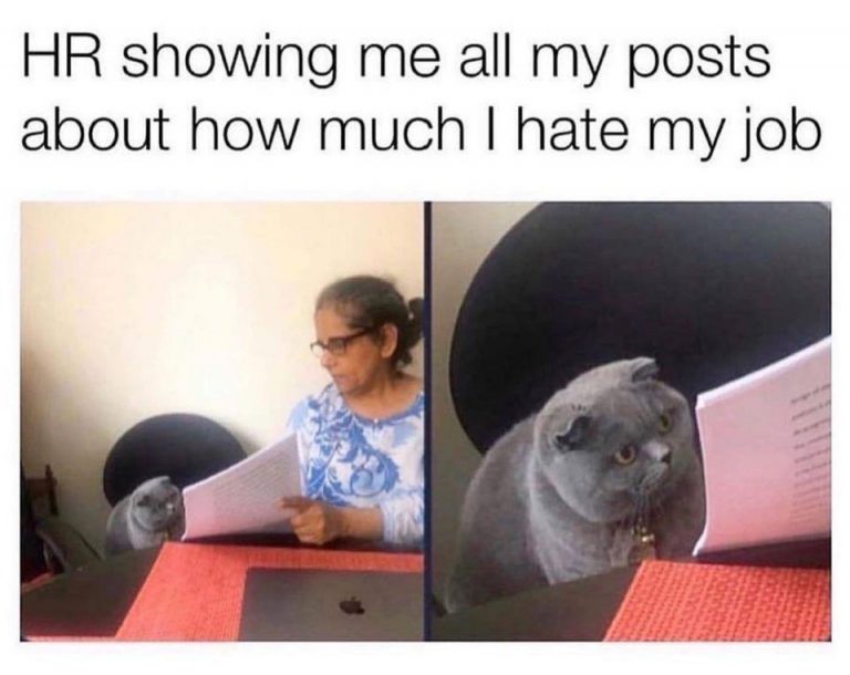 50 Funny HR Memes For You [Budget, Resumes, Payroll+] | Ongig Blog