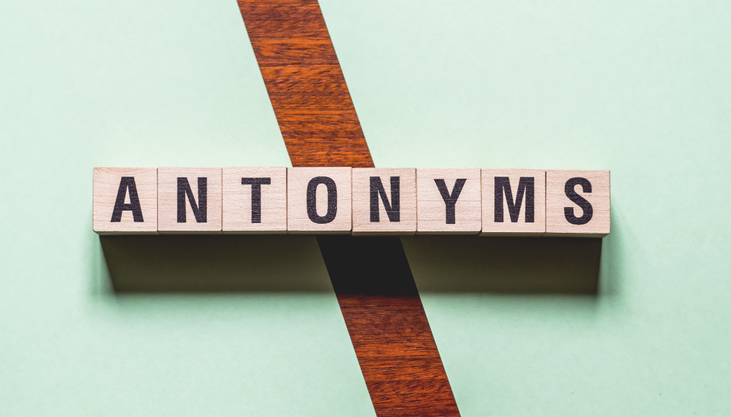 35 Words to Avoid that are the Opposite of Inclusive (2024) | Ongig Blog