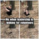 25 Leadership Memes [Some Might Make you Giggle] | Ongig Blog