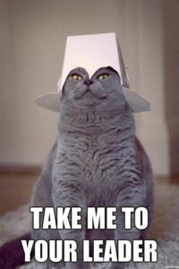 25 Leadership Memes [Some Might Make you Giggle] | Ongig Blog