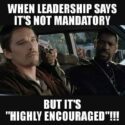 25 Leadership Memes [Some Might Make you Giggle] | Ongig Blog