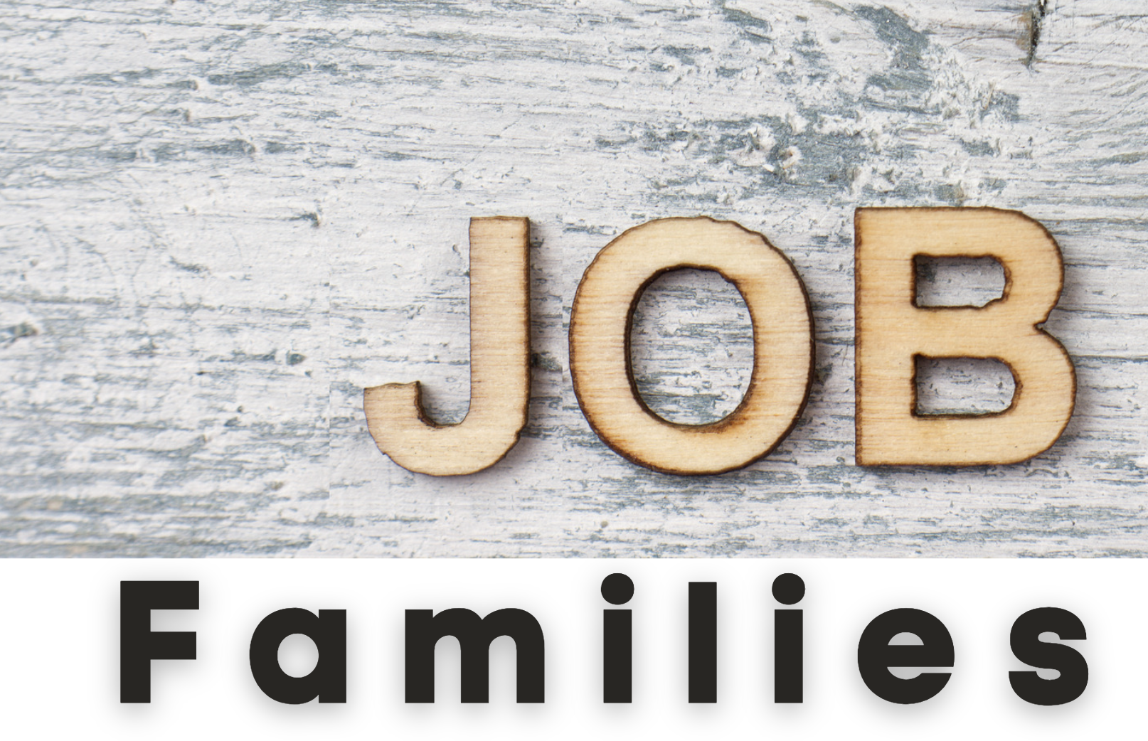 What is a Job Family and How to Use Them Effectively? | Ongig Blog